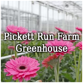 Pickett Run Farm Greenhouse & Nursery – Visit Paint Valley